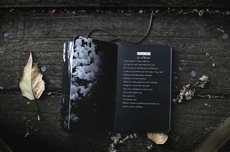 Building Poem Generator Using Lyzr Sdk By Akshaykeerthi Genai