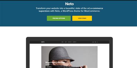 CSS Igniter Neto WordPress Theme SHOP AEDIGI