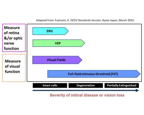 Diagnosys Llc On Linkedin Each Of The Following Answers A Different Question Visual Field Vf …