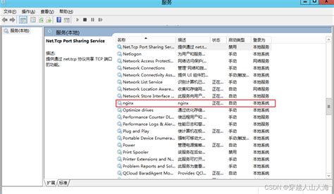 Windows服务器项目环境搭建windows服务器搭建 Csdn博客