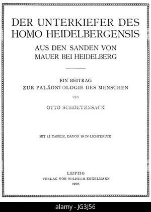 Homo Heidelbergensis This Species Of Early Human Was First Discovered