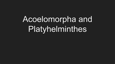 Marine Worms Powerpoint