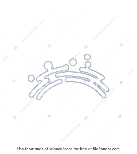 Free Er Membrane Budding Icons Symbols And Images Biorender