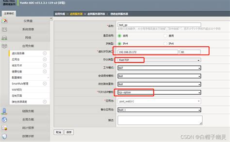 通明湖tcp option插入源地址配置及验证 tcp option 源地址 csdn博客