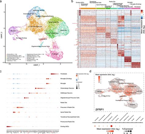 single cell mrna sequencing of cultured cells reveals a large number download scientific