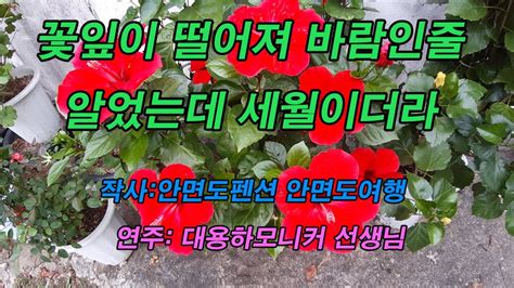 꽃잎이 떨어져 바람인줄 알었는데 세월이더라 ㅋ 개사제목 넘유치 테스트버전 작사안면도펜션 안면도여행 연주 대용하모니커 선생님 Youtube