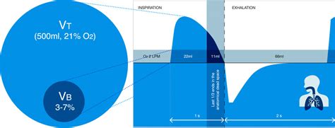 Calculate Percentage Of Oxygen In Air Calculator Vcd Calculate Percentage Of Oxygen In Air Calculator Vcd