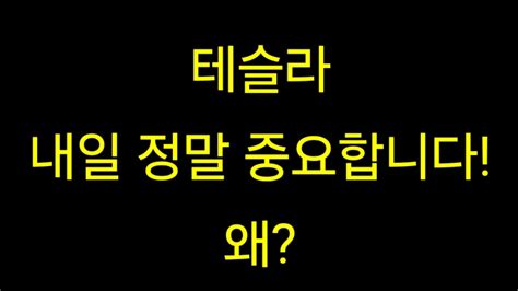 테슬라 오늘 하락한 이유는 Youtube