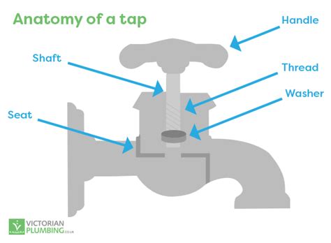 Anatomy Of A Tap