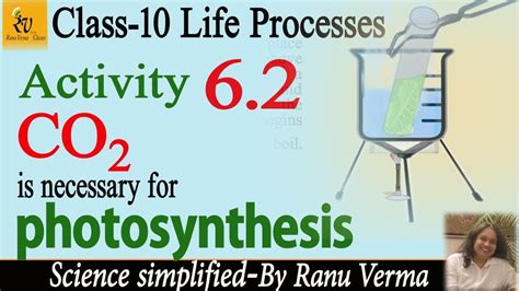 Class 10 Cbse Science Biology Lesson 6 Life Processes