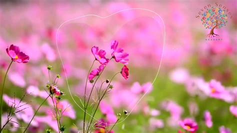 Video Seven Senses Academy Posted On Linkedin