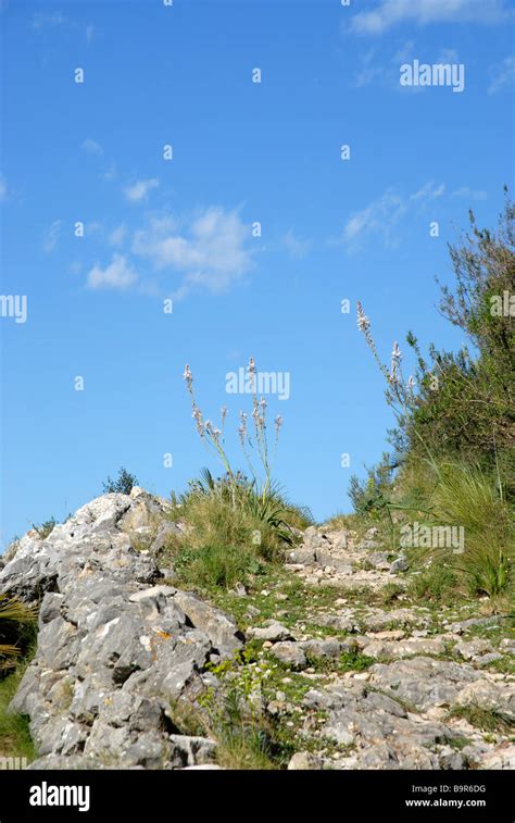 Mozarabic Stepped Trail Vall De Laguart Benimaurell Alicante