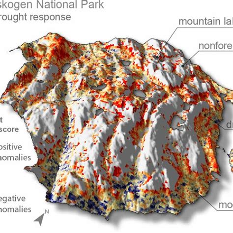A Map Of Primary Forests Included In The Analysis Forests Are Shown