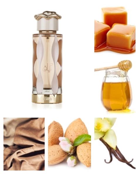 Pin by Варвара Носкова on духи | Perfume scents, Perfume lover, Perfume ...
