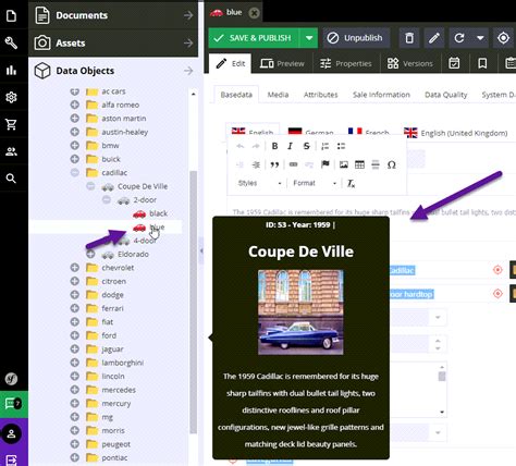 Custom Icons Pimcore