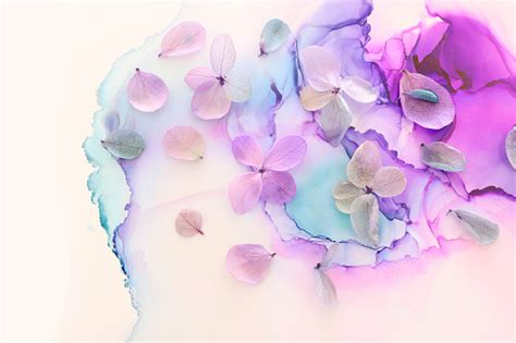 예술 잉크 배경에 파스텔 바이올렛과 핑크 하이드랑가 꽃의 창조적 인 이미지 복사 공간이 있는 상단 보기 0명에 대한 스톡 사진 및 기타 이미지 Istock