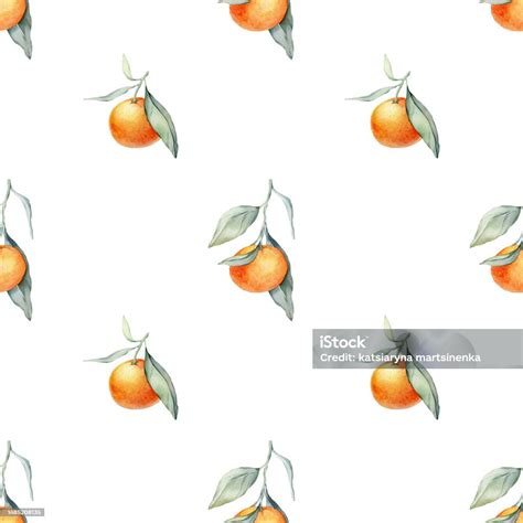 원활한 수채화 감귤류 과일과 잎 패턴 흰색 배경에 녹색 잎과 오렌지 과일 원활한 만다린과 오렌지 수채화 일러스트레이션 0명에