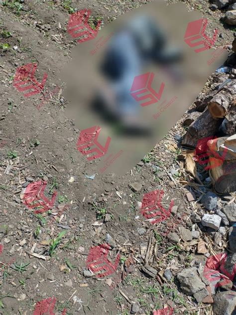 Asesinan A Un Hombre En Camino Parcelario De Valle De Santiago