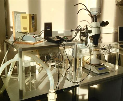 Drying And Cooking Topics Transfers Interfaces And Processes Tips