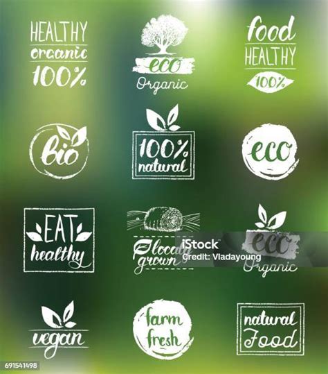 벡터 에코 유기농 바이오 카드 템플릿입니다 건강 한 손으로 아이콘 세트를 먹고 채식 자연 식품과 음료 표지판 0명에 대한 스톡 벡터 아트 및 기타 이미지 Istock