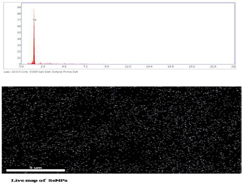 Edx Energy Dispersive X Ray Spectroscopy Analysis Download Scientific Diagram