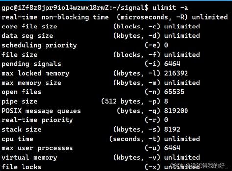 【linux进程信号（一）】信号概念 产生 保存 处理 csdn博客