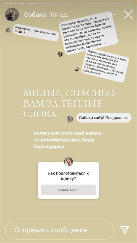 Сторис оформление Тренды сторис Эстетика