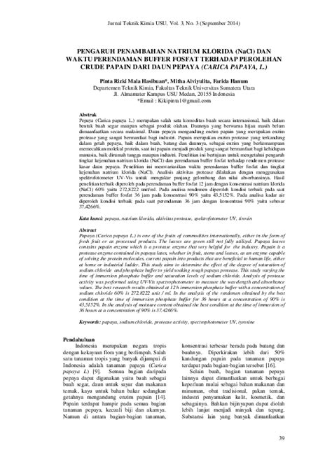 Pdf Pengaruh Penambahan Natrium Klorida Nacl Dan Waktu Perendaman Buffer Fosfat Terhadap
