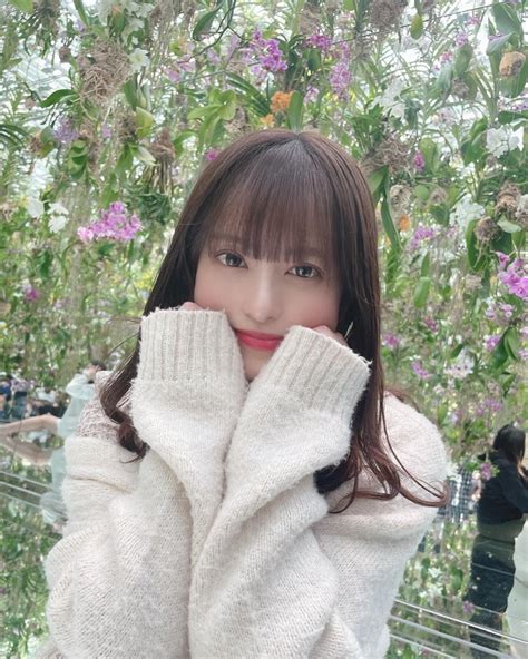 桜もこ On Twitter Rt Moko Sakura3 💐