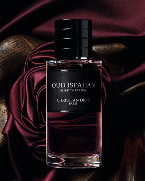 유료광고 Diorbeauty 데이즈드 10월호에서 만날 수 있는 크리스챤 디올 뷰티 X 정해인 화보는 New 라 콜렉시옹 프리베 에스프리 드 퍼퓸 컬렉션 4가지 향수