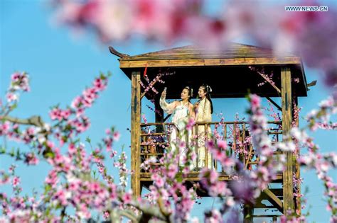 踏青赏花享春光 China org cn