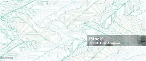 큰 바나나 잎이 있는 섬세한 녹색 열대 배경 장식 표지 엽서 디자인 및 프리젠테이션을 위한 배경 0명에 대한 스톡 벡터 아트 및 기타 이미지 Istock