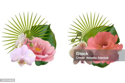 열대 꽃과 나뭇잎의 밝은 벡터 그림입니다 난초 플루 메리아 프랜지파니 종려 나무 잎 꽃다발 세트입니다 이국적인 열대 배경입니다