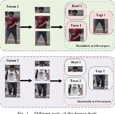 Figure 1 From Body Part Level Domain Alignment For Domain Adaptive Person Re Identification With