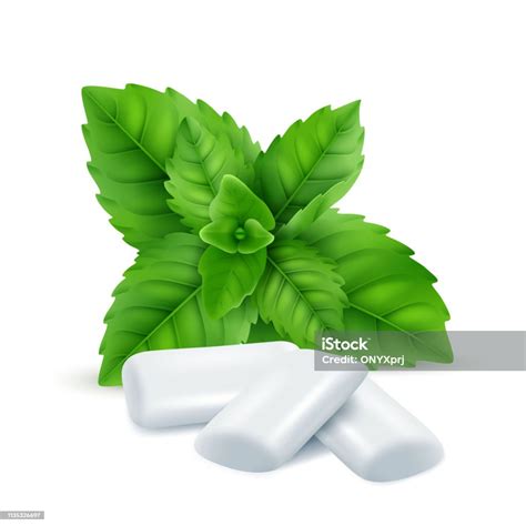 민트 껌 상쾌한 냄새를 호흡 하는 하얀 껌과 자를 사용한 신선한 멘 톨 잎 벡터 현실적인 사진 3차원 형태에 대한 스톡 벡터 아트 및 기타 이미지 Istock
