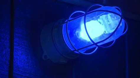 Code Blue Issued For Sunday Wgrz Com