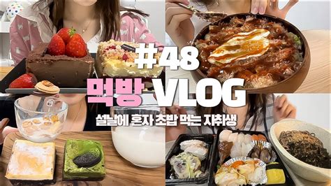 먹방 브이로그 케이크 하나로 웃음이 나네모듬초밥들기름막국수투썸스초생딸기레어치즈매콤숯불닭꼬치덮밥뚜레쥬르말차브라우니치즈브라우니과자우유말먹케이크먹방폭식브이로그
