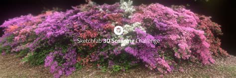Sketchfab 3d Scanning Challenge Point Cloud Garden Sketchfab Community Blog Sketchfab