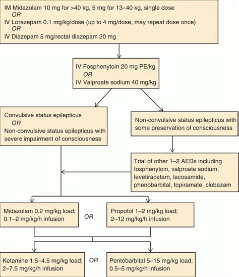 29 Status Epilepticus Anesthesia Key