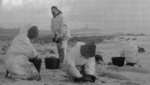 How Do Humans Use Fossil Fuels CLIMATE SCIENCE