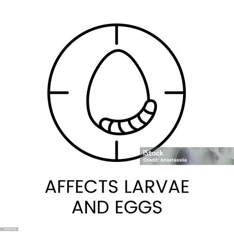 벡터의 알과 유충의 아이콘으로 초기 단계 해충에 대한 약물의 효과를 상징하며 편집 가능한 스트로크가 있습니다 Drug에 대한 스톡 벡터 아트 및 기타 이미지 Istock