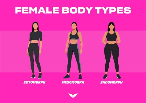 Female Body Types Characteristics Examples More