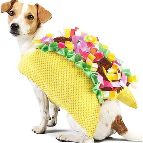 Dog Wearing Costume