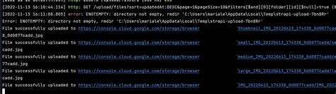 Enotempty Directory Not Empty Rmdir Cusersusernameappdatalocaltempstrapi Upload 7bn8rr