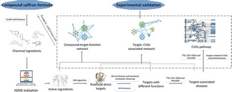 Workflow For Csf In Treating Cvds Download Scientific Diagram