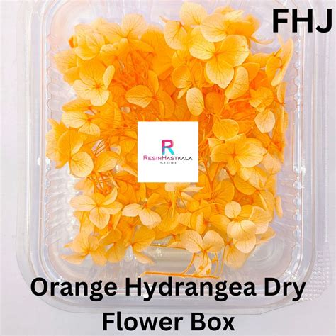 Orange Hydrangea Dry Flower Box Resinhastkala Store