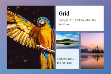 Nicepage Your Best Website Builder Application And Plugin