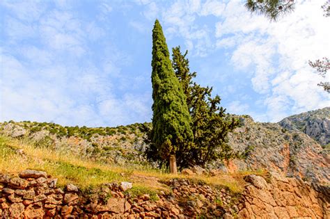 델파이 그리스 산 파에 고고학 사이트 델파이 아폴로 성소에서 Oracle에 의해 유명 유네스코 세계 유산 0명에 대한 스톡 사진 및 기타 이미지 Istock