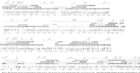 Figure 1 From Segmental Aneuploidy And The Genetic Gross Structure Of