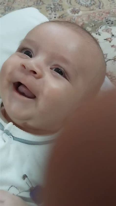 سلام سلام سوران هستم چهار ماهه ️😁 میخایم ی اعتبار سنجی انجام بدیم که